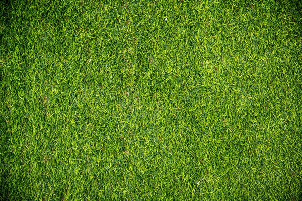 Astro turf background Stock Photos, Royalty Free Astro turf background ...