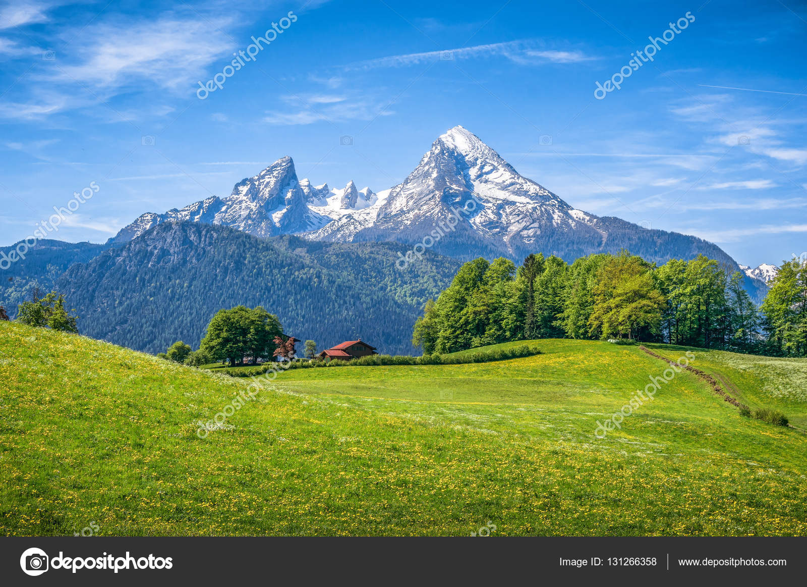 Idyllic alpine landscape with green meadows, farmhouses and snow-capped ...