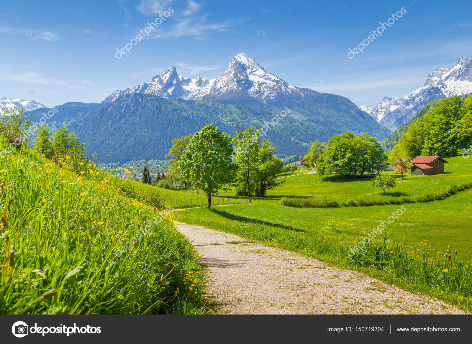 Idyllic scenery in the Alps with hiking trail and green meadows — Stock ...