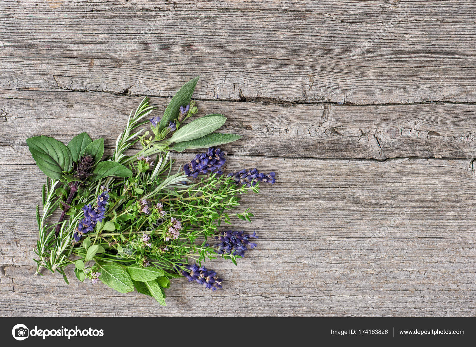 Bundle fresh herbs Basil rosemary mint sage thyme oregano Stock Photo ...