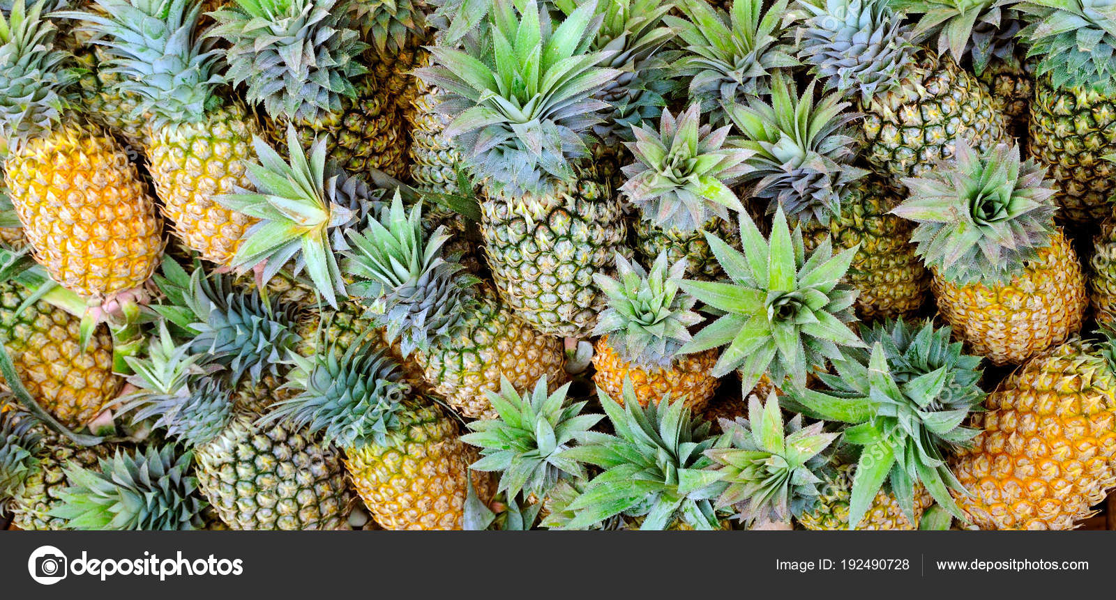 Bright Background Fresh Juicy Pineapples Sri Lanka Wide Photo — Stock Photo © Alinamd #192490728