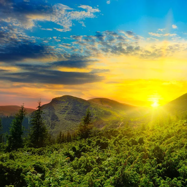 Mountain sunshine Stock Photos, Royalty Free Mountain sunshine Images ...