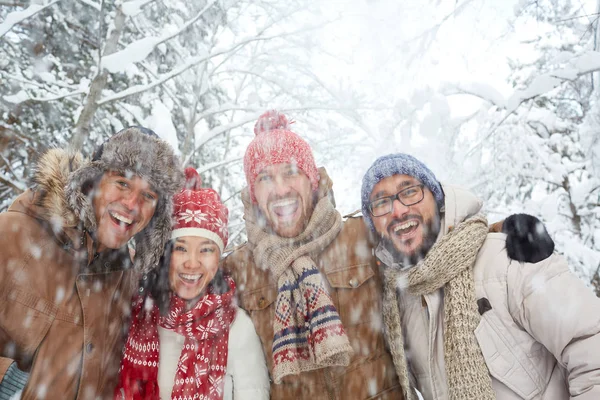 friends in winter forest - Stock Image - Everypixel