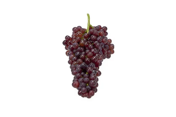 Ugly shock grape Stockfotos, lizenzfreie Ugly shock grape Bilder ...