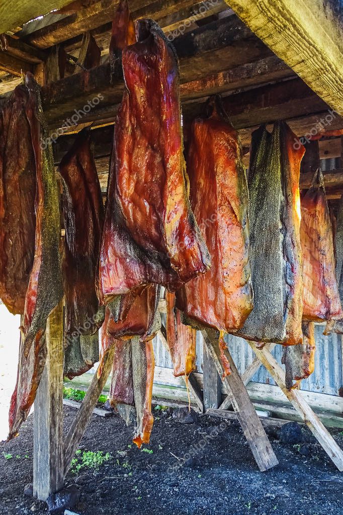 Specialty of iceland called hakarl fermented shark — Stock Photo ...