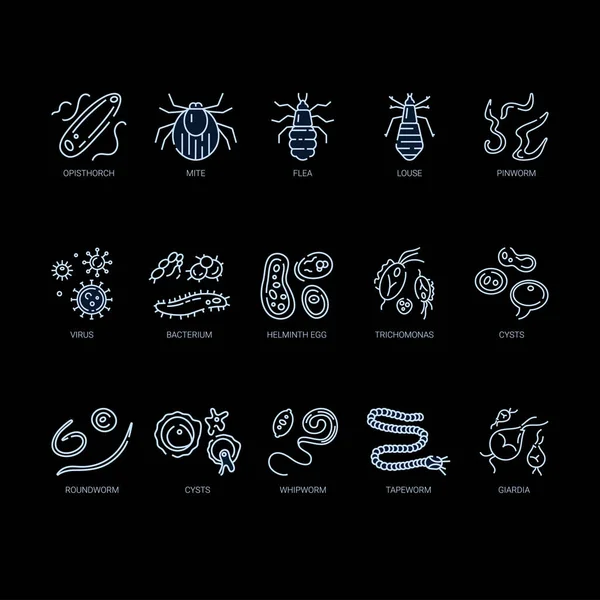 Human parasites. Set of vector linear icons. Stock Vector Image by ...