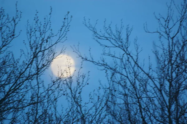 Spring equinox moon Stock Photos, Royalty Free Spring equinox moon ...