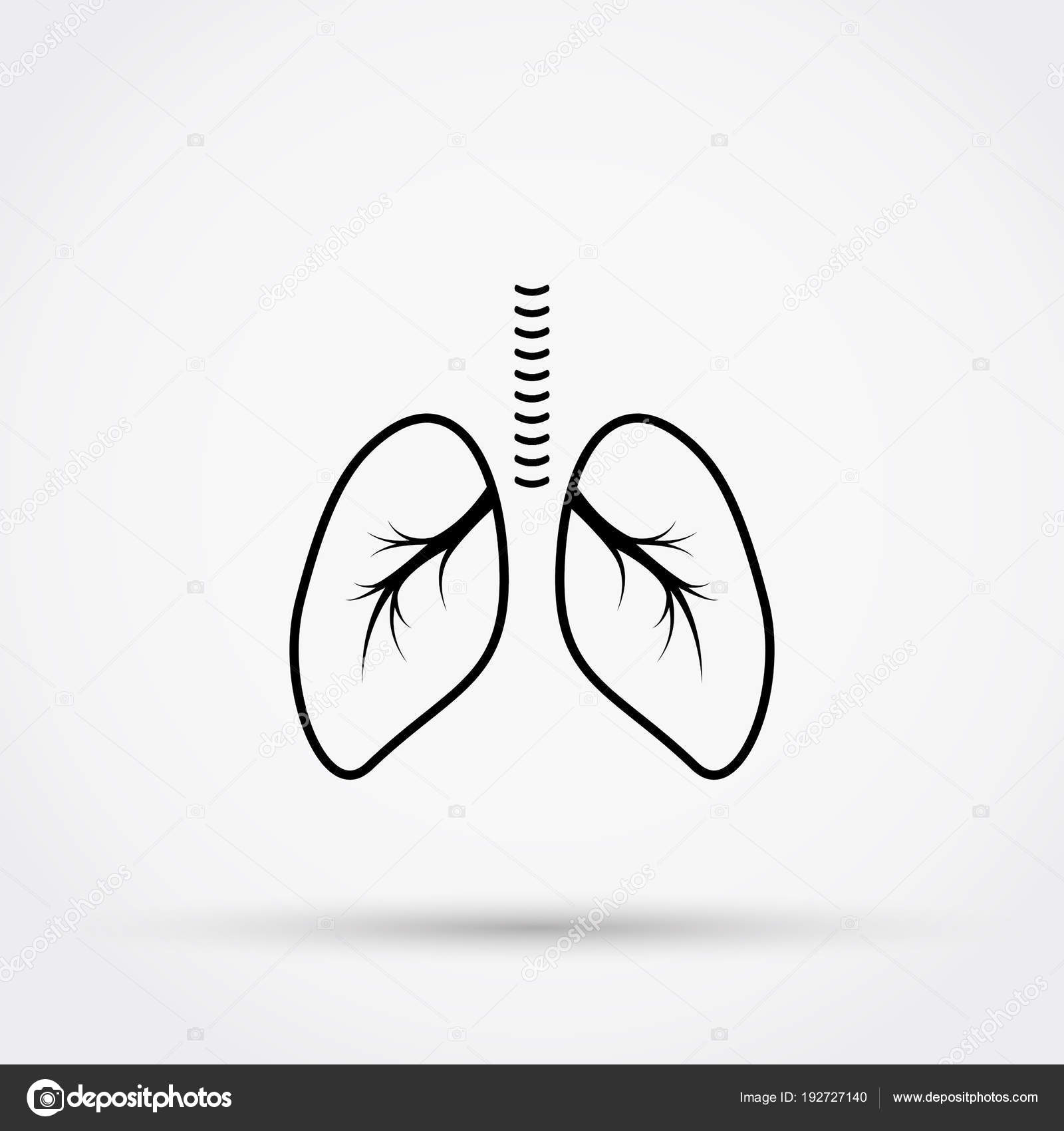 Outline Lungs Vector Icon Stock Vector By ©zanna26 192727140