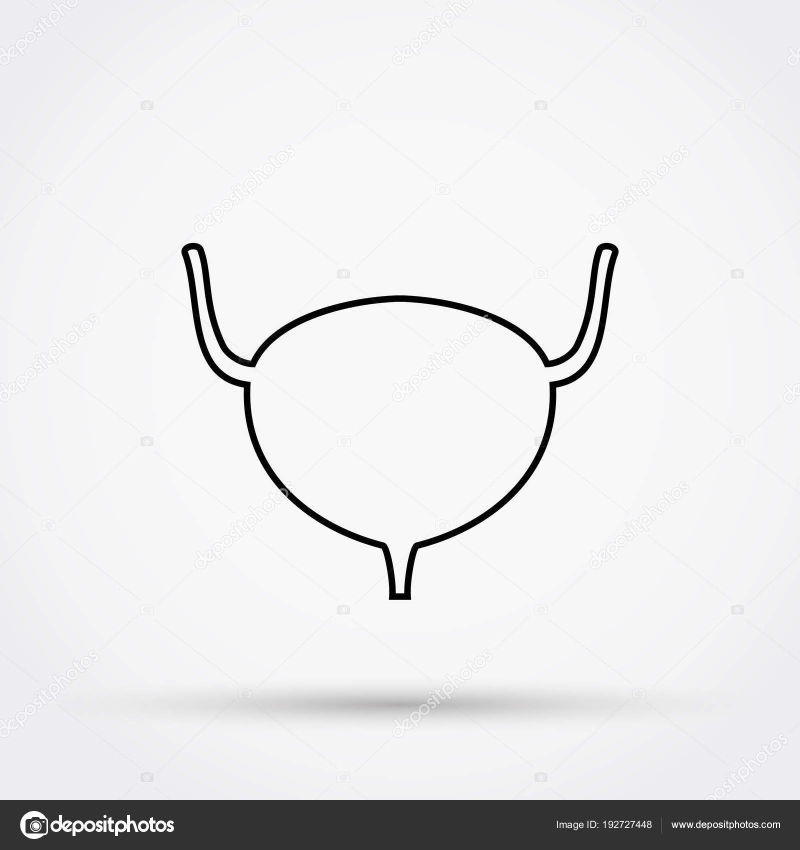 Outline urinary bladder vector icon. — Stock Vector © Zanna26 #192727448