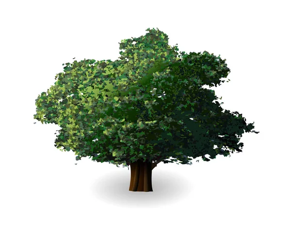 56,724,073 Enramada Vector Images | Depositphotos