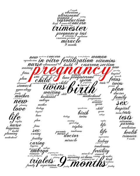 Months Word Cloud Silhouette Pregnant Woman Italic Font White ...
