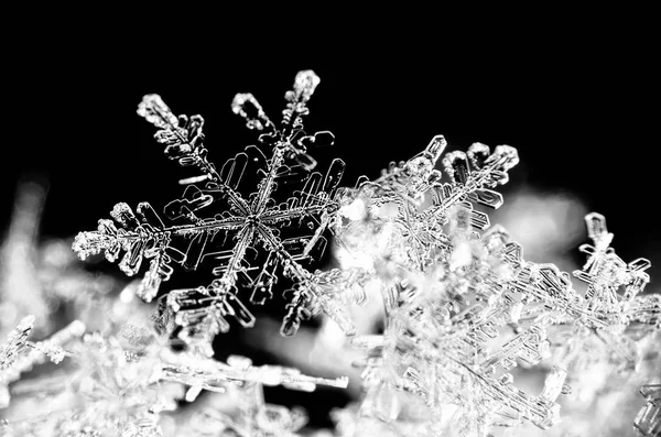 Snowflake detail — Stock Photo © duben #35215119