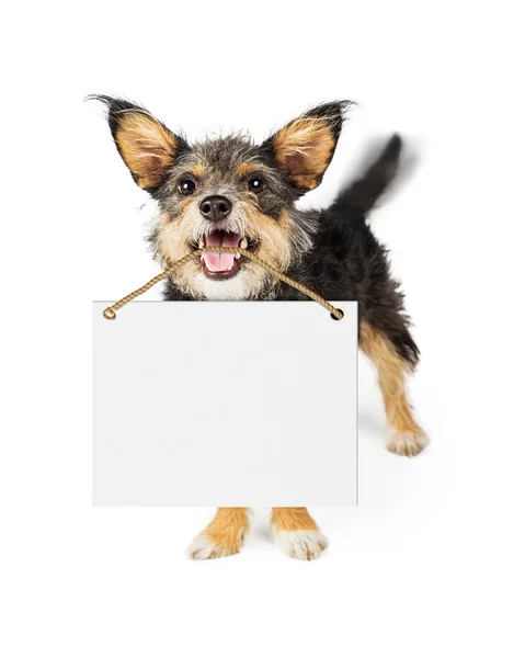 Dog open sign Stock Photos, Royalty Free Dog open sign Images ...