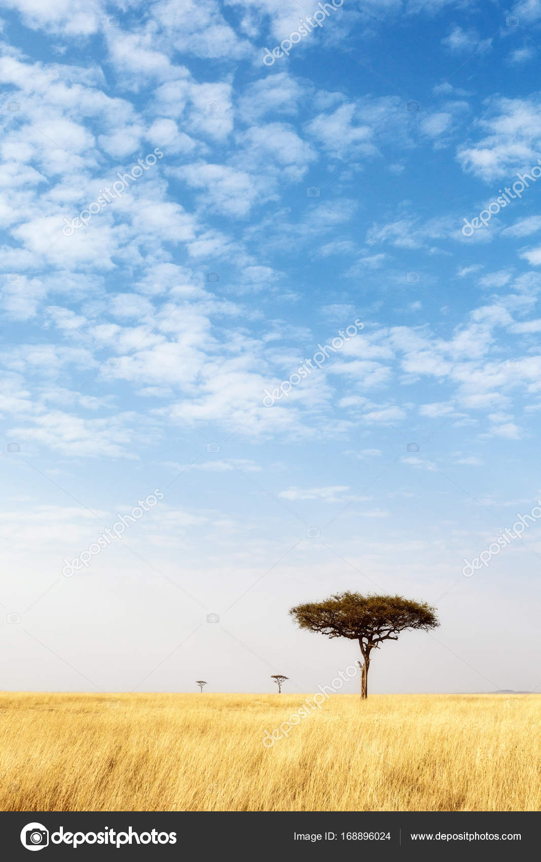 Open Grass Field Grass Field Under White Clouds · Free Stock Photo