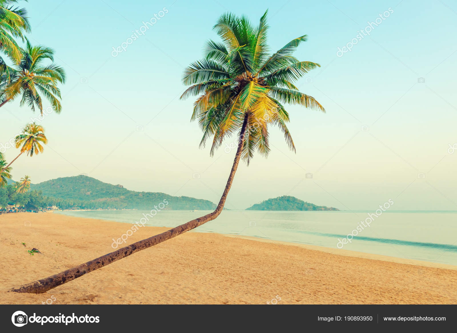 Beautiful coconut palms and tropical beach. Tinted. — Stock Photo ...