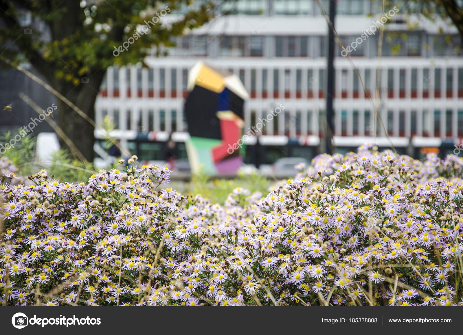 Rotterdam Flower Park | Best Flower Site