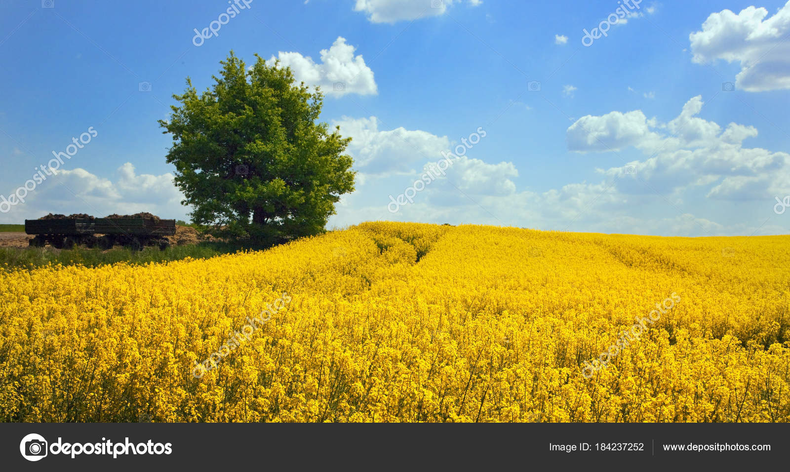 Beautiful Natural Theme Background Stock Photo by ©CHROMORANGE 184237252