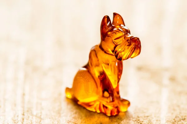 Amber Dog Close Shot — Stock Photo © CHROMORANGE #185997582