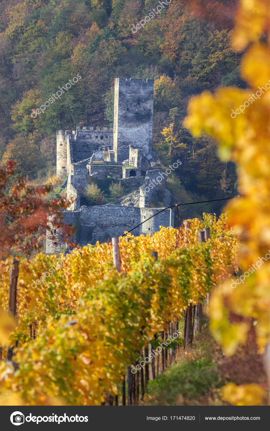 Spitz castle with autumn vineyard in Wachau valley, Austria. — Stock ...