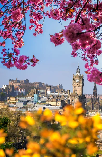 26 Flowers of edinburgh castle Stock Photos | Free & Royalty-free ...