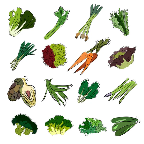 Green vegetables — Stock Vector © wikki33 #3314239