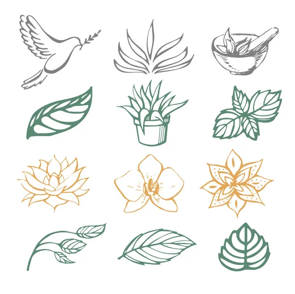 Dosha Vector Art Stock Images | Depositphotos