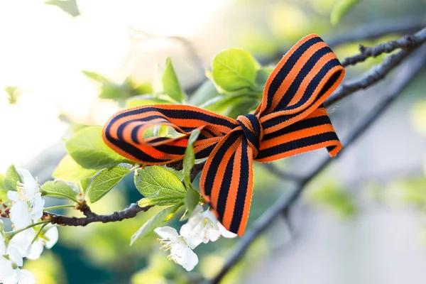 Ruban pomme Stock Photos, Royalty Free Ruban pomme Images | Depositphotos