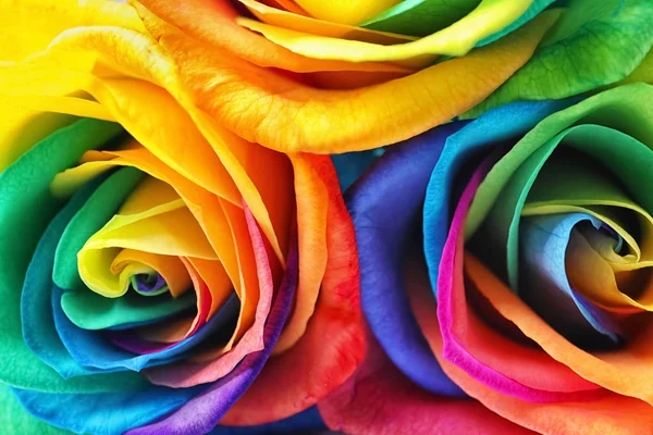Rainbow Roses Wallpaper