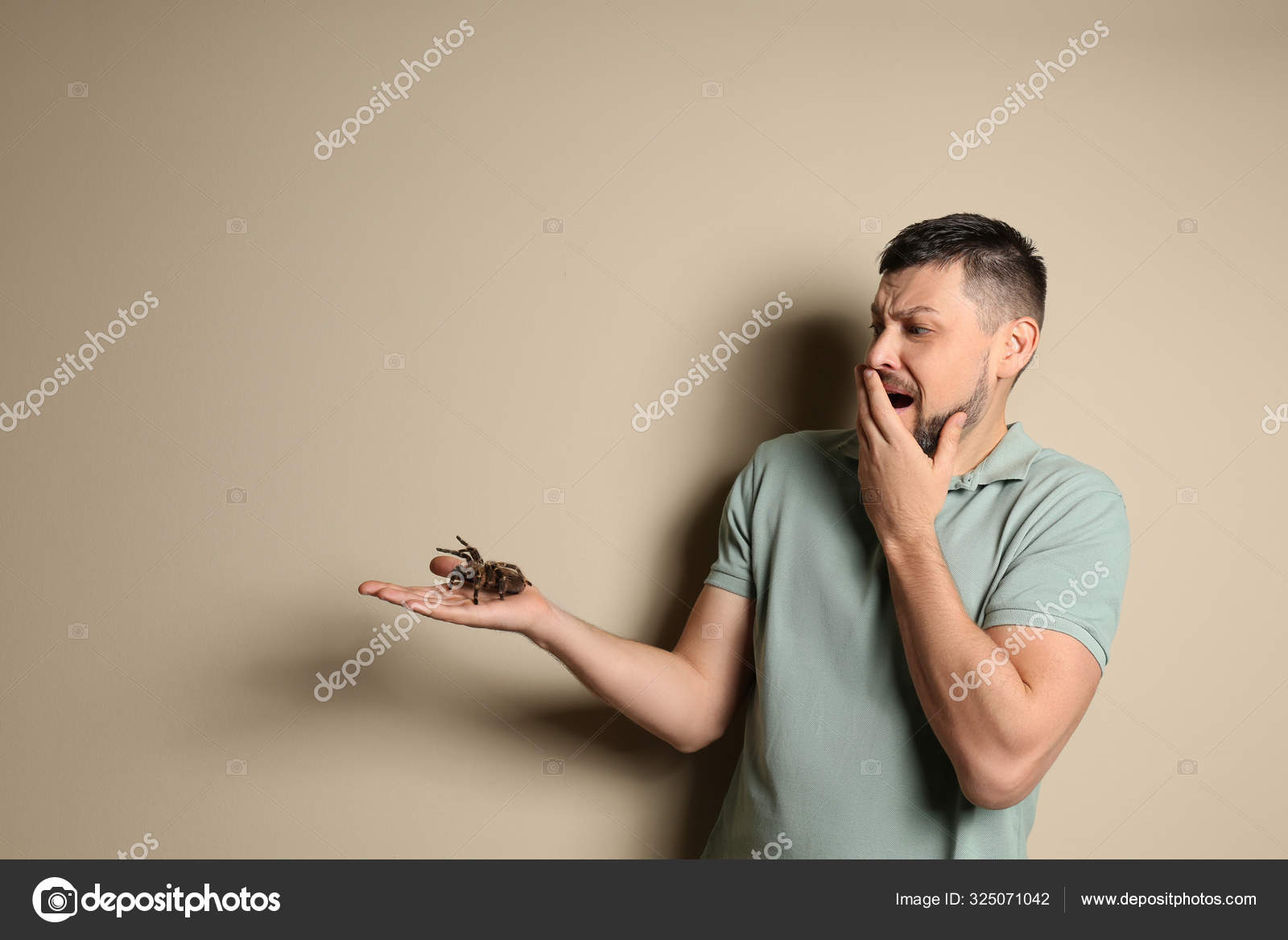 Scared Man Holding Tarantula Beige Background Space Text Arachnophobia ...