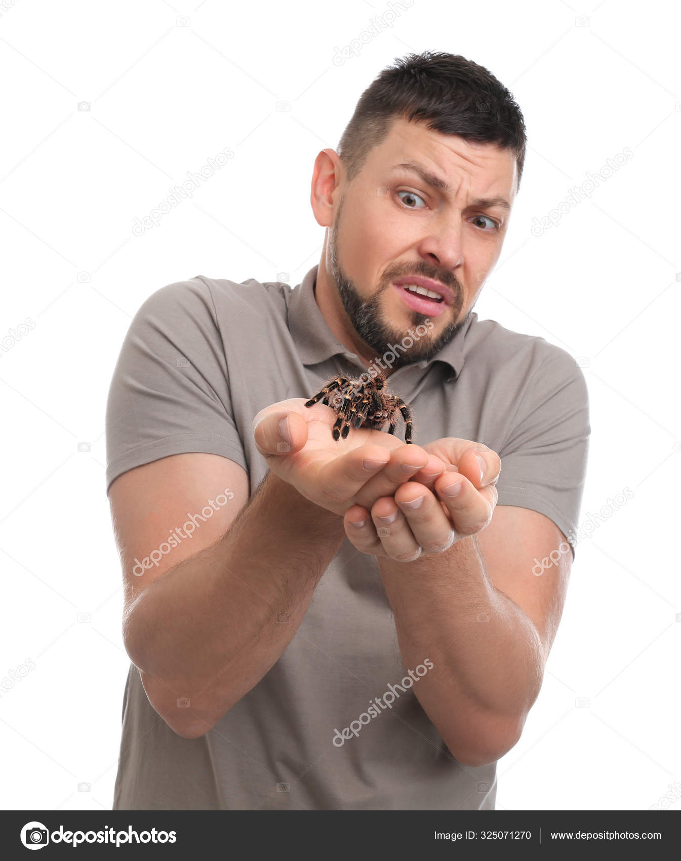 Scared Man Holding Tarantula White Background Arachnophobia Fear ...