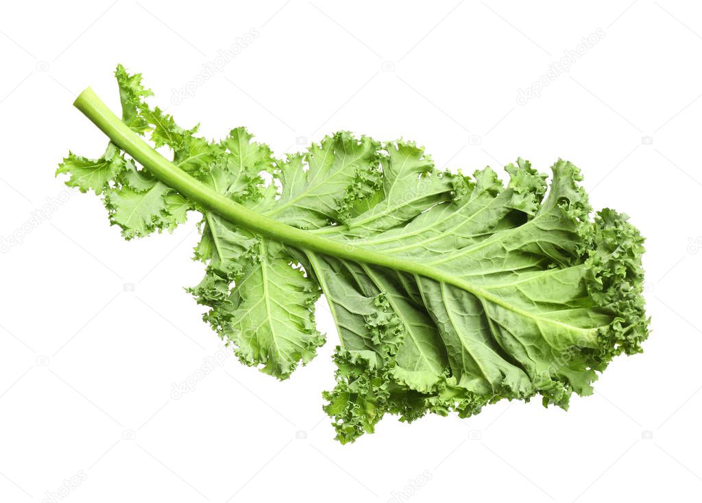 Hoja de col rizada verde fresca aislada en blanco 2023