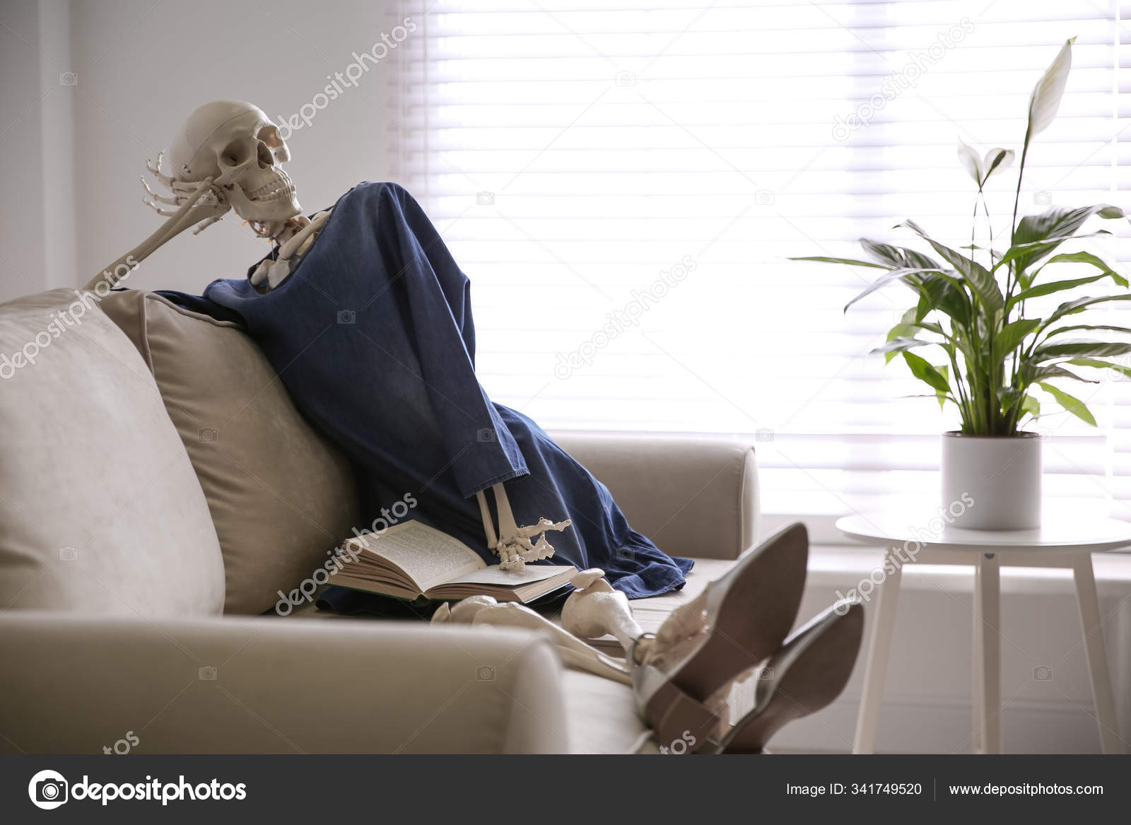 Esqueleto Humano Sentado En Un Banco Esqueleto Humano Sentado En Las