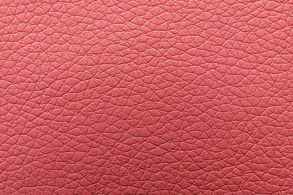 Pink leather Stock Photos, Royalty Free Pink leather Images | Depositphotos
