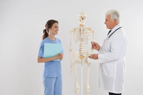 Orthopedist Pointing Human Skeleton Model Clinic Closeup Stock Photo by ...