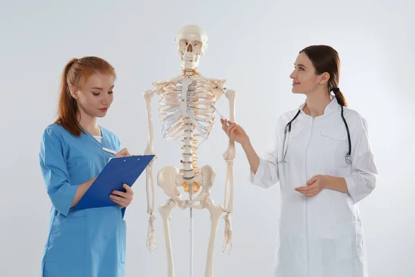 Orthopedist Pointing Human Skeleton Model Clinic Closeup Stock Photo by ...