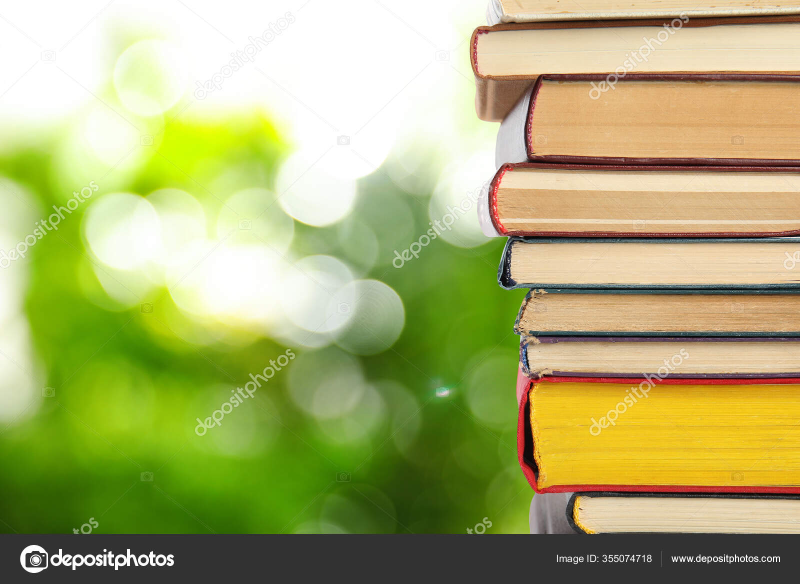 Collection Different Books Blurred Green Background Space Text Stock ...