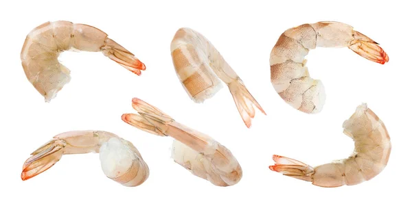 Collage de crevettes Stock Photos, Royalty Free Collage de crevettes ...