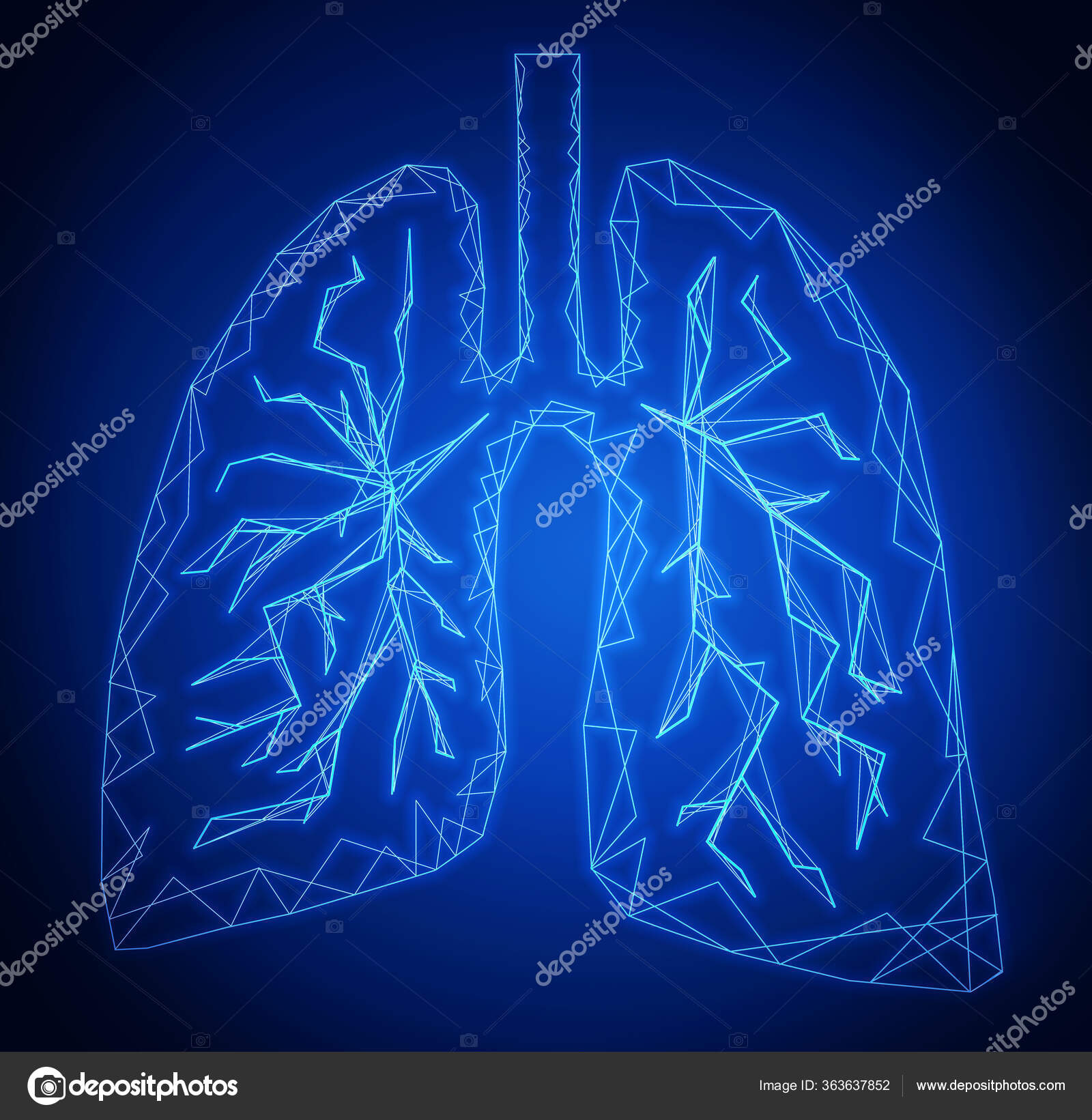 Illustration Human Lungs Blue Background Stock Photo by ©NewAfrica ...