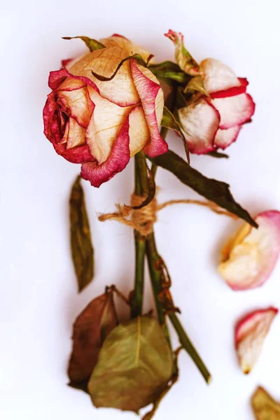 Withered roses Images - Search Images on Everypixel