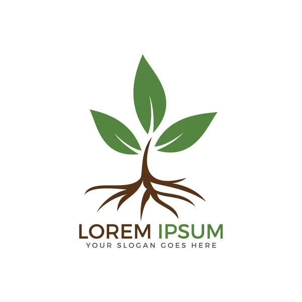 100,000 Logo akar pohon Vector Images | Depositphotos