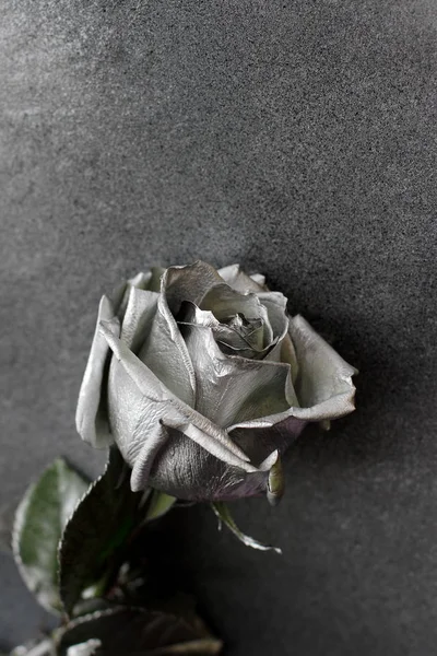 Roses grave Stock Photos, Royalty Free Roses grave Images | Depositphotos