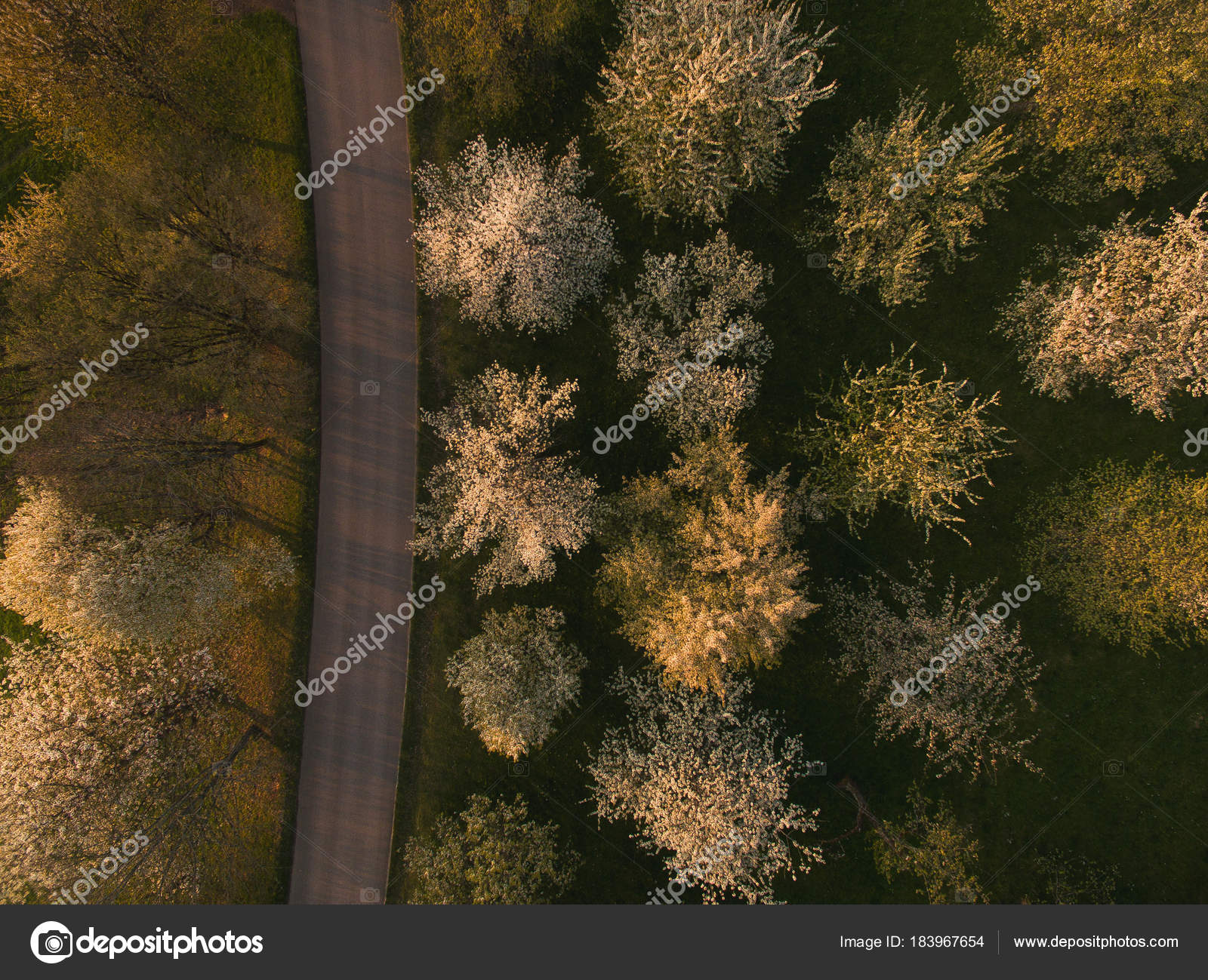 Top view — Stock Photo © AerialBO #183967654