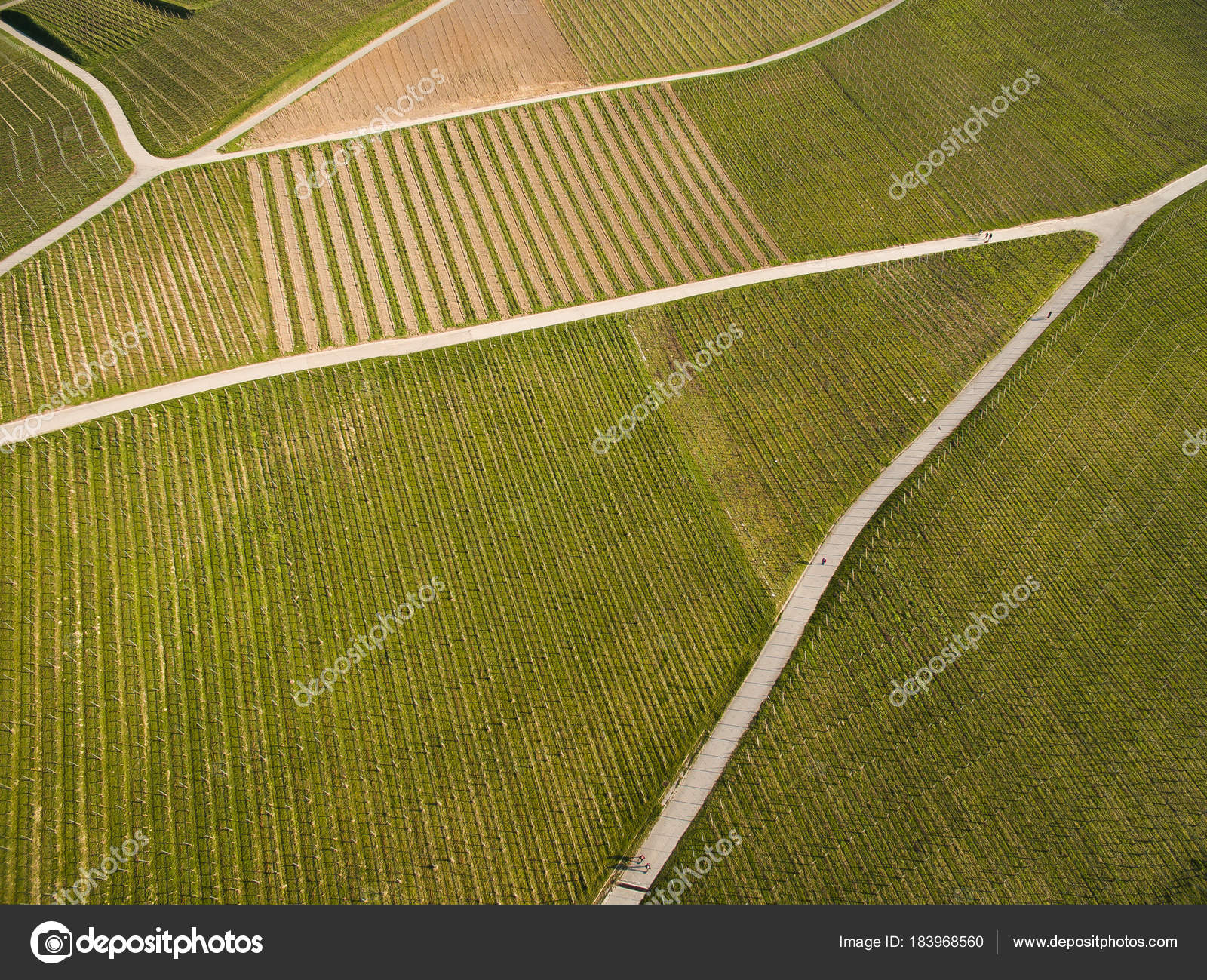 Field with roads — Stock Photo © AerialBO #183968560