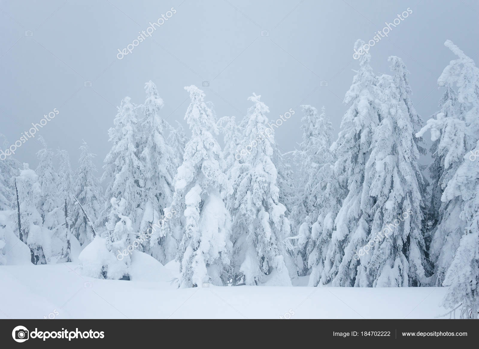 Blizzard — Stock Photo © IgorPylBO #184702222