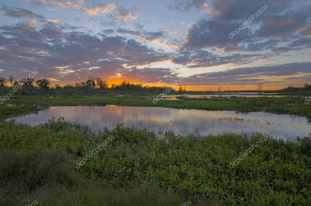 Círculo B Bar atardecer pantano de agua dulce 2024