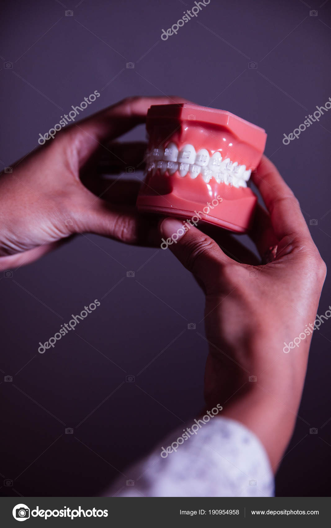 Hands holding model of human jaw with dental braces Stock Photo by ...
