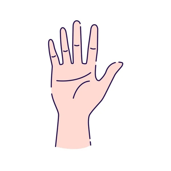 Five Fingers Gesture Line Color Icon Make Fingers Gesture Sketch Stock ...