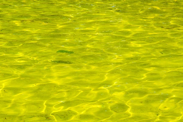 Texture, background. the water in the pool, pool yellow colored yellow ...