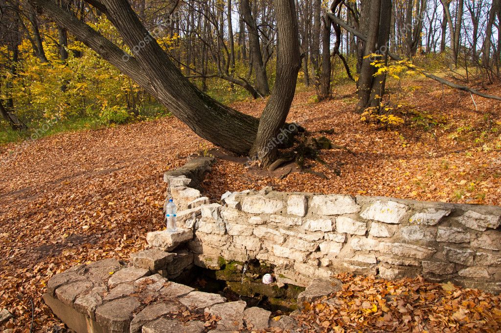 Source Water Equipped Forest Oak Forest Autumn — Stock Photo © ekina1 ...
