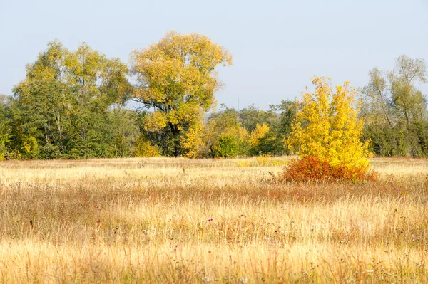 autumn, fall, leaf fall, fall of the leaf. the third season of the year ...